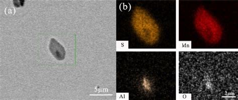 Typical Mns Diagram With Oxide As The Nucleation Core A Sem Download Scientific Diagram