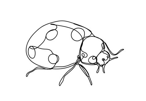 Ladybug Line Art Line Drawing Style Illustration 59042185 Vector Art At Vecteezy