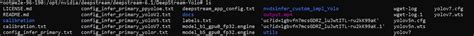 Deepstream Yolo Output Is Not Generating Deepstream Sdk Nvidia