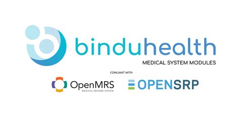 bindulogic software engineering firm