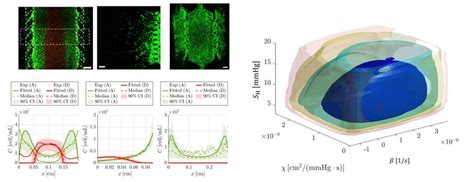 Mathematical Models And Computational Strategies For Understanding And Recreating Glioblastoma