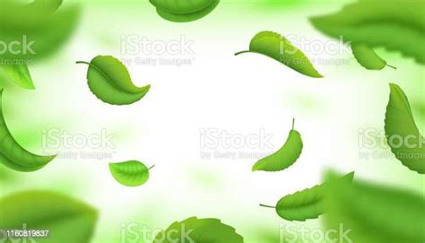 현실적인 녹색 떨어지는 잎 흰색에 고립 된 신선한 비행 흐린 잎 자연 3d 차 잎 벡터 배경 3차원 형태에 대한 스톡 벡터 아트 및 기타 이미지 Istock