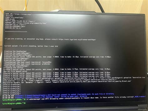 Crash At Start Nixos With Home Manager Nvidia · Issue 2572 · Hyprwmhyprland · Github