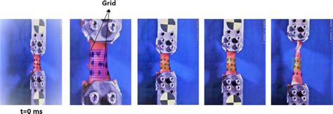 Reference And Consecutive Images Used In Strain Calculation Using Dic