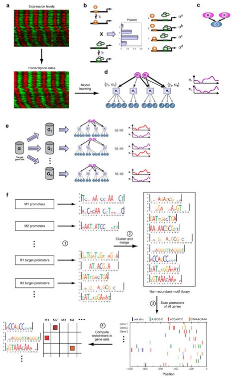 Flow Of The Integrated Analysis Download Scientific Diagram