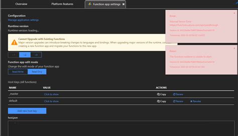 Azure Function Hostjson File Is Missing Using Terraform Deploy