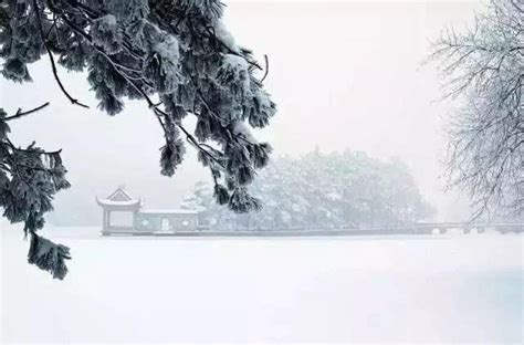 蘇軾這首詞寫的是傷春思鄉，但是一句「詩酒趁年華」可謂經典 每日頭條