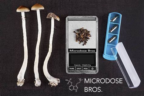 Magic Mushroom And Magic Truffles Calculator Microdose Bros