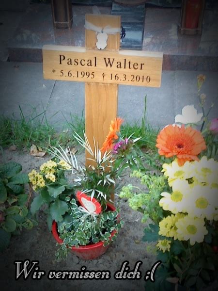 Bilder Von Pascal Walter