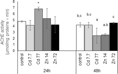Acetylcholine Esterase Activity In Control And Treated Samples After 24 Download Scientific
