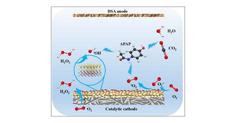 Mo Based Heterogeneous Interface And Sulfur Vacancy Synergistic Effect
