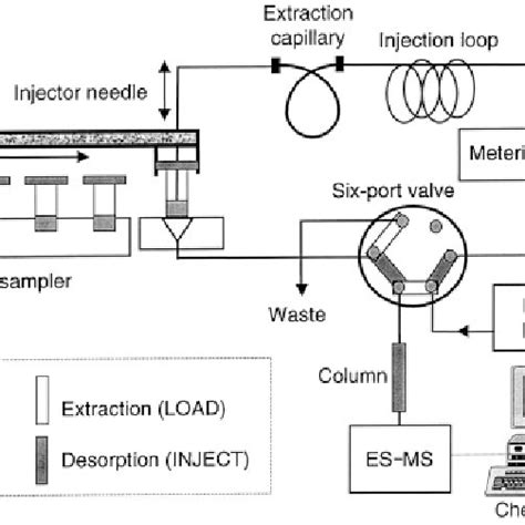 Pdf Automated In Tube Solid Phase Microextraction Coupled With Hplc Es Ms For The