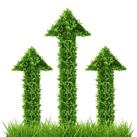 Three Arrows Of Rotted Green Grass On A White Background Premium Ai