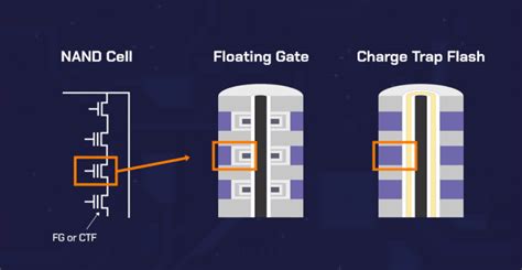 Charge Trap Flash Vs Floating Gate Endurance Reliability And Performance