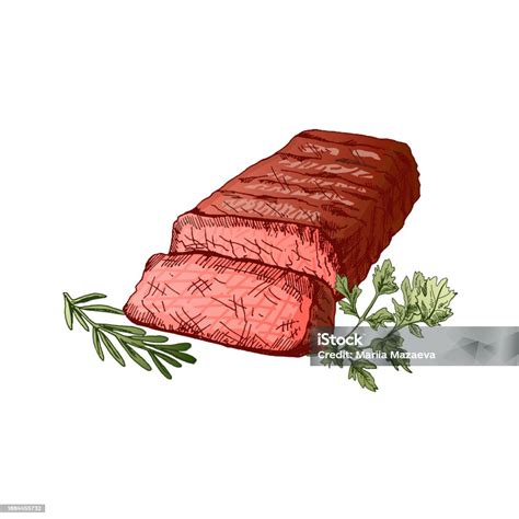 유기농 식품 구운 쇠고기 스테이크 로즈마리와 파슬리와 고기 조각의 손으로 그린 컬러 벡터 스케치 빈티지 일러스트입니다 메뉴 장식