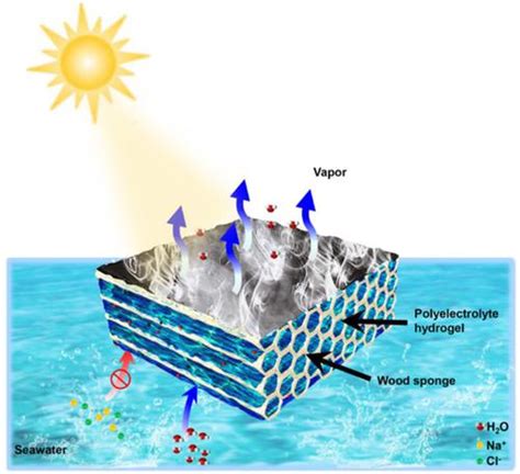 Strong Tough Hydrogel Solar Evaporator With Wood Skeleton Construction