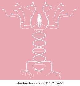 Dna Tree Showing Roots All Existence Stock Vector Royalty Free 2117159654 Shutterstock