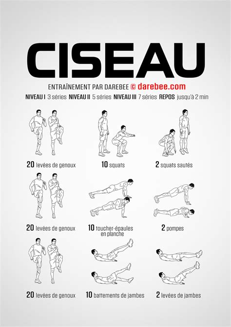 Ciseau Entraînement