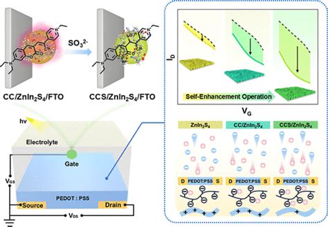Triple Functional Smart Organic Molecules Enable Self Enhancement Modulation Of Organic