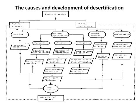Ppt Desertification Powerpoint Presentation Free Download Id7031896