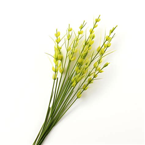 Premium Ai Image Alamo Switchgrass Yellowgreen A Small Bouquet