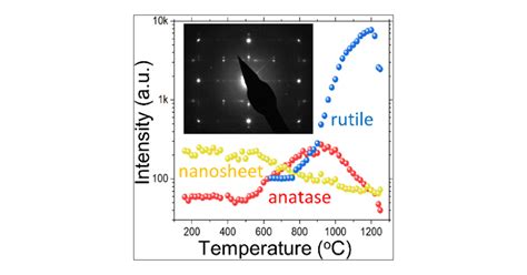 Tunable Phase Transformation Behavior Of Two Dimensional TiO Revealed By In Situ Transmission