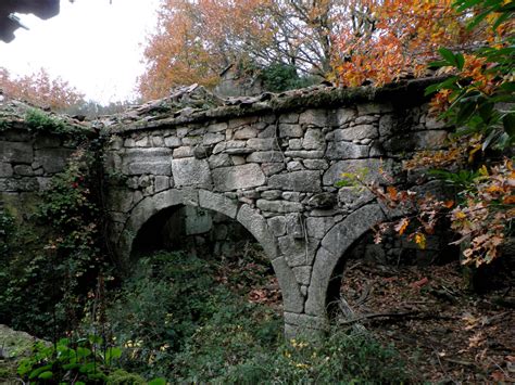 무료 이미지 나무 다리 잎 꽃 아치 가을 정원 시즌 스페인 관목 카사 갈리시아 폰테 베 드라 삼림지 에스파냐 Ggl1 아라 마