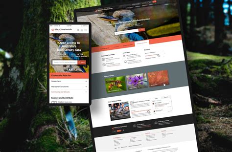 User Interface Design Projects Sheldon Braxton Design