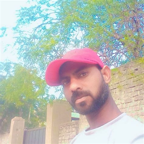 Innocent Bear Youtube