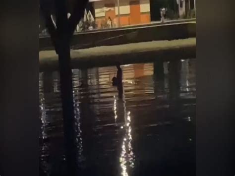 Casal é Flagrado Em Ato íntimo Em Balneário