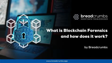 What Is Blockchain Forensics And How Does It Work Breadcrumbs Knowledge Hub