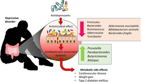 Iddf2021 Abs 0164 Gut Feelings In Depression Microbiota Dysbiosis In Response To