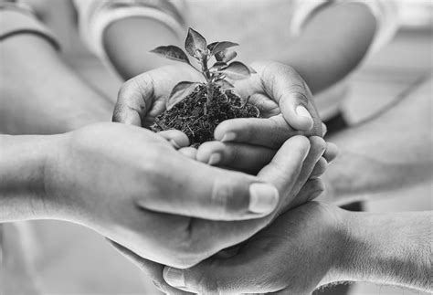 Tobania On Linkedin Another Year Of Strong Results