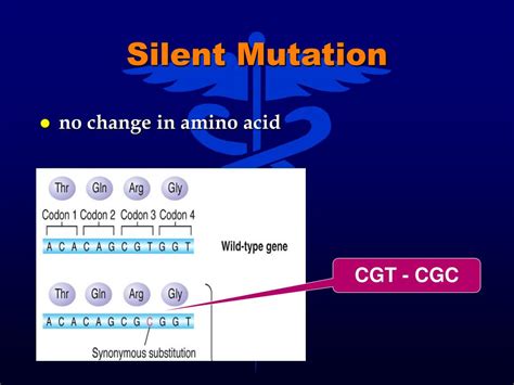 Ppt Chapter 7 Gene Mutation And Dna Polymorphisms Powerpoint