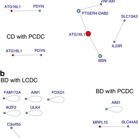 Snp Network Graphs Assembled For Snp Snp Interactions By Three Methods