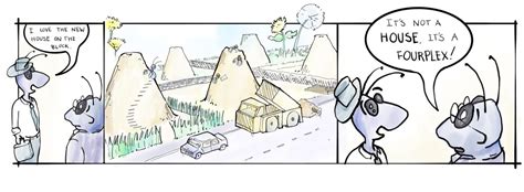 Form Based Code Cartoon Series Opticos Design