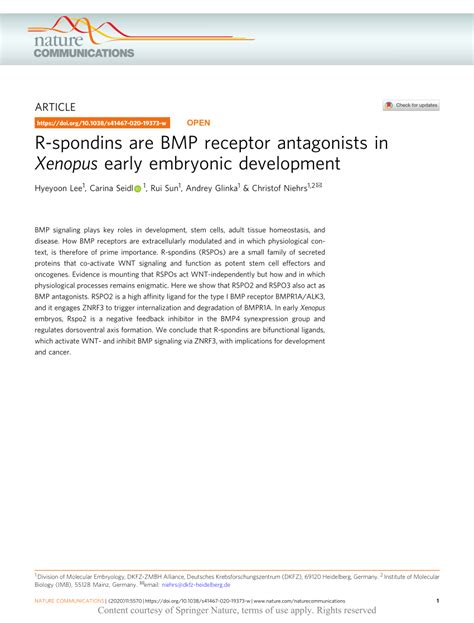 Pdf R Spondins Are Bmp Receptor Antagonists In Xenopus Early Embryonic Development