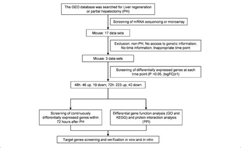 Flowchart For Bioinformatics Analysis Of Publicly Available Data From Download Scientific