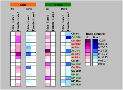 Sex Biased Genes From Each Experiment Were Determined From Males Vs