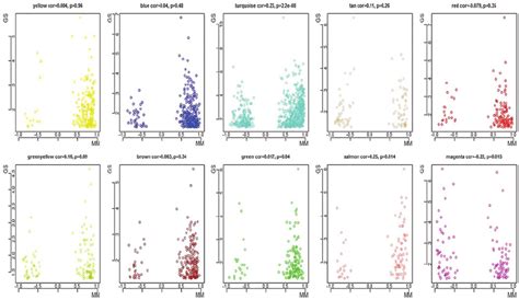 Correlation Of The Mm X‐axis And The Gs Y‐axis The Color Indicates Download Scientific