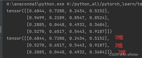 Pytorch框架的学习（2）torchdist Csdn博客