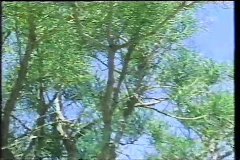 Rio Brésil sexe total volume 1 xHamster