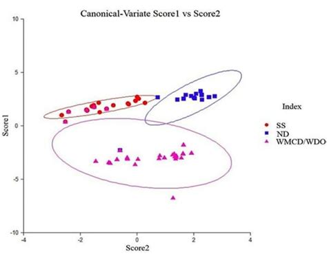 Principle Component Analysis Of The Morphological Measurements Of The