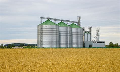 Understanding Bulk Material Handling