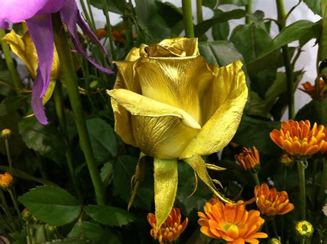 Flowers Rose Gold Free Image Download