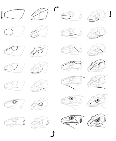 SketchBook Original How To Draw Lizards Monika Zagrobelna