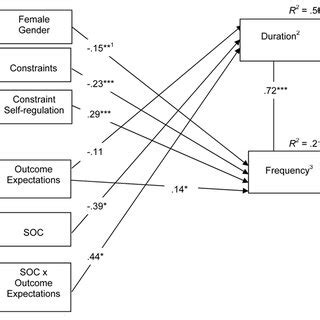 Graph Of The Interactive Effect Of Selective Optimization With Download Scientific Diagram