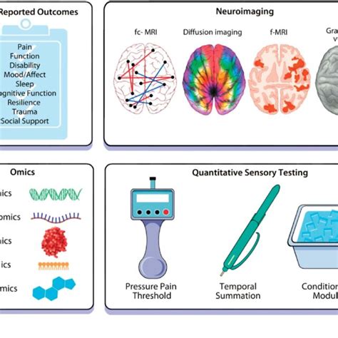 A Conceptual Framework For The Biomarkers Collected As Part Of The Download Scientific Diagram