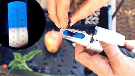 How To Read A Brix Meter At Kate Gates Blog