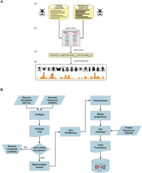 Bioinformatics And Computational Biology Of Gene Regulation Experiential Learning Network
